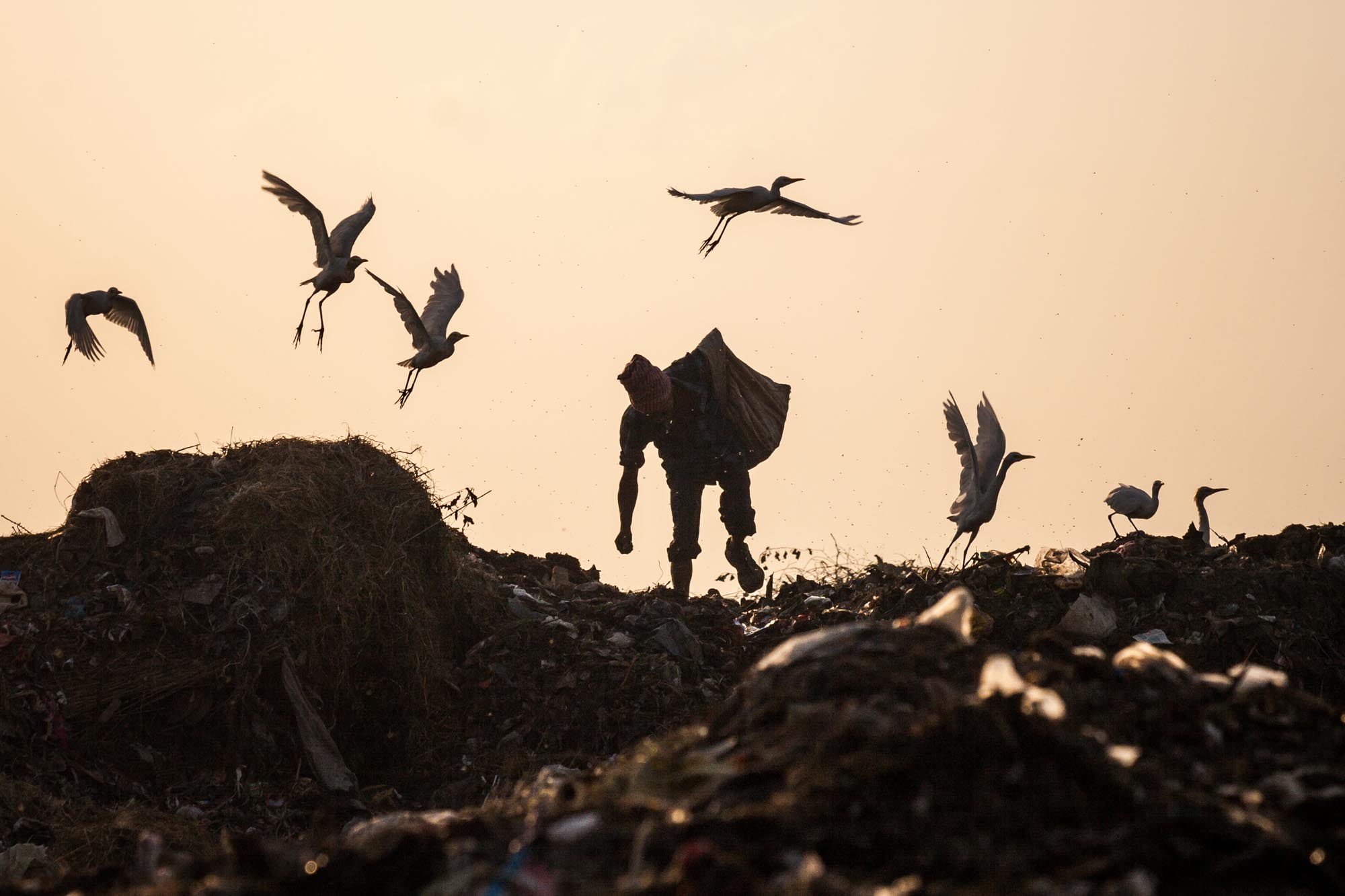 Tracing Waste - The Kabari’s Contribution to Society | Enrico Fabian ...